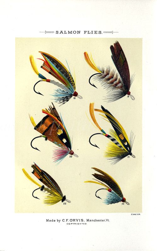 ORVIS - SALMON FLIES - plate (B) fishing print