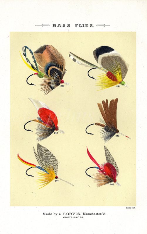 ORVIS - BASS FLIES plate (X) fishing print